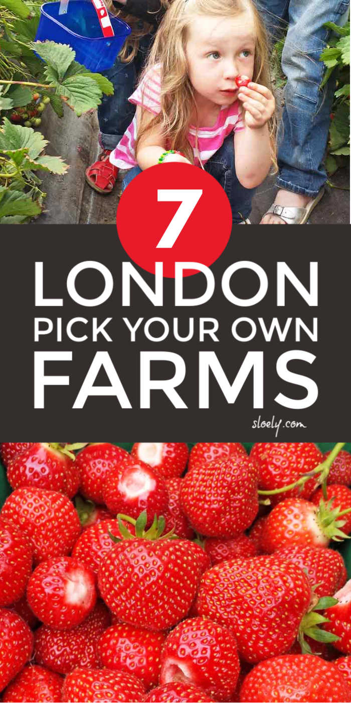 PYO Farms In London