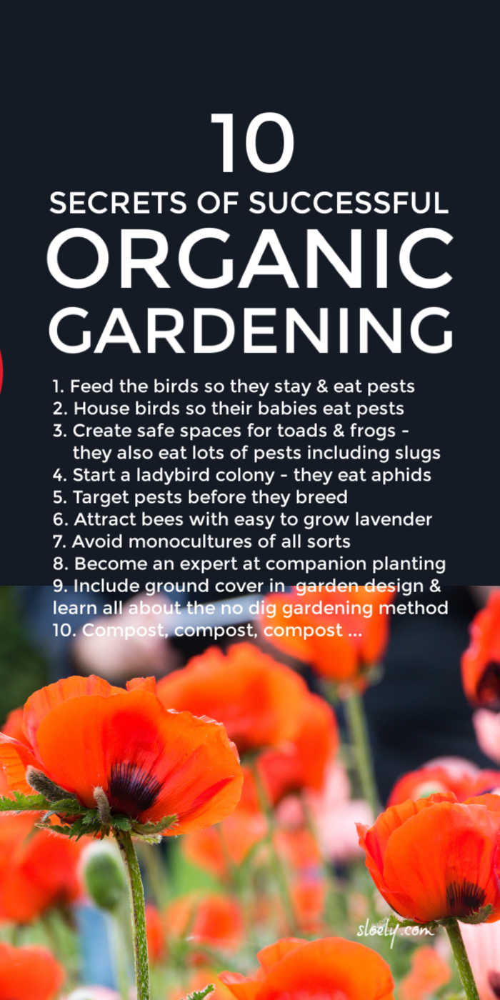 Organic Gardening Tips For Beginners