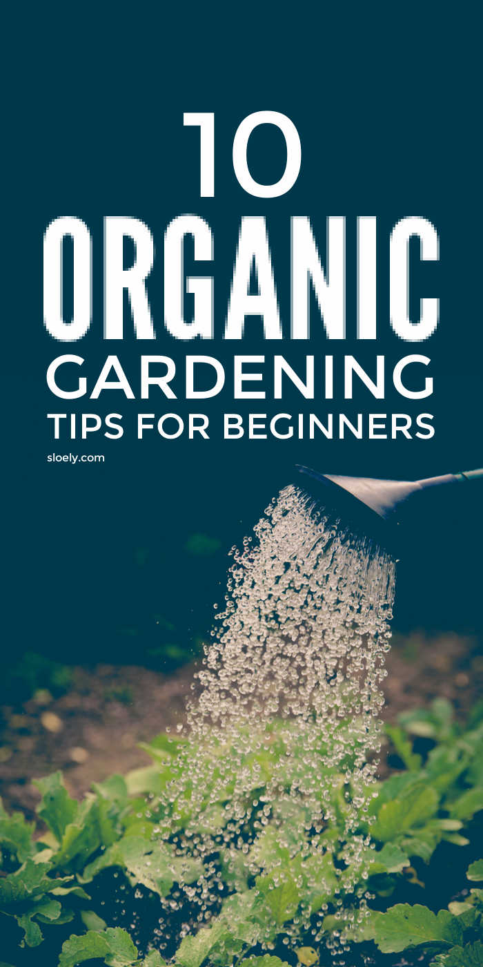 Organic Gardening Tips For Beginners