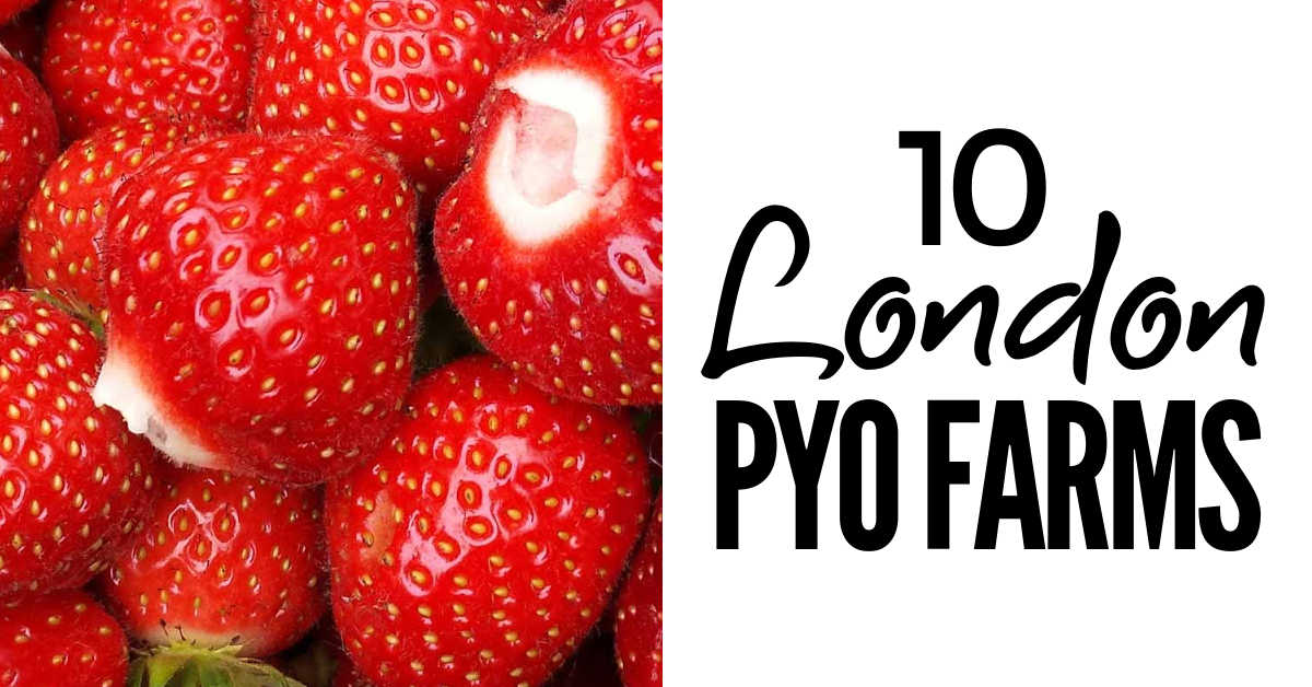PYO Farms In London