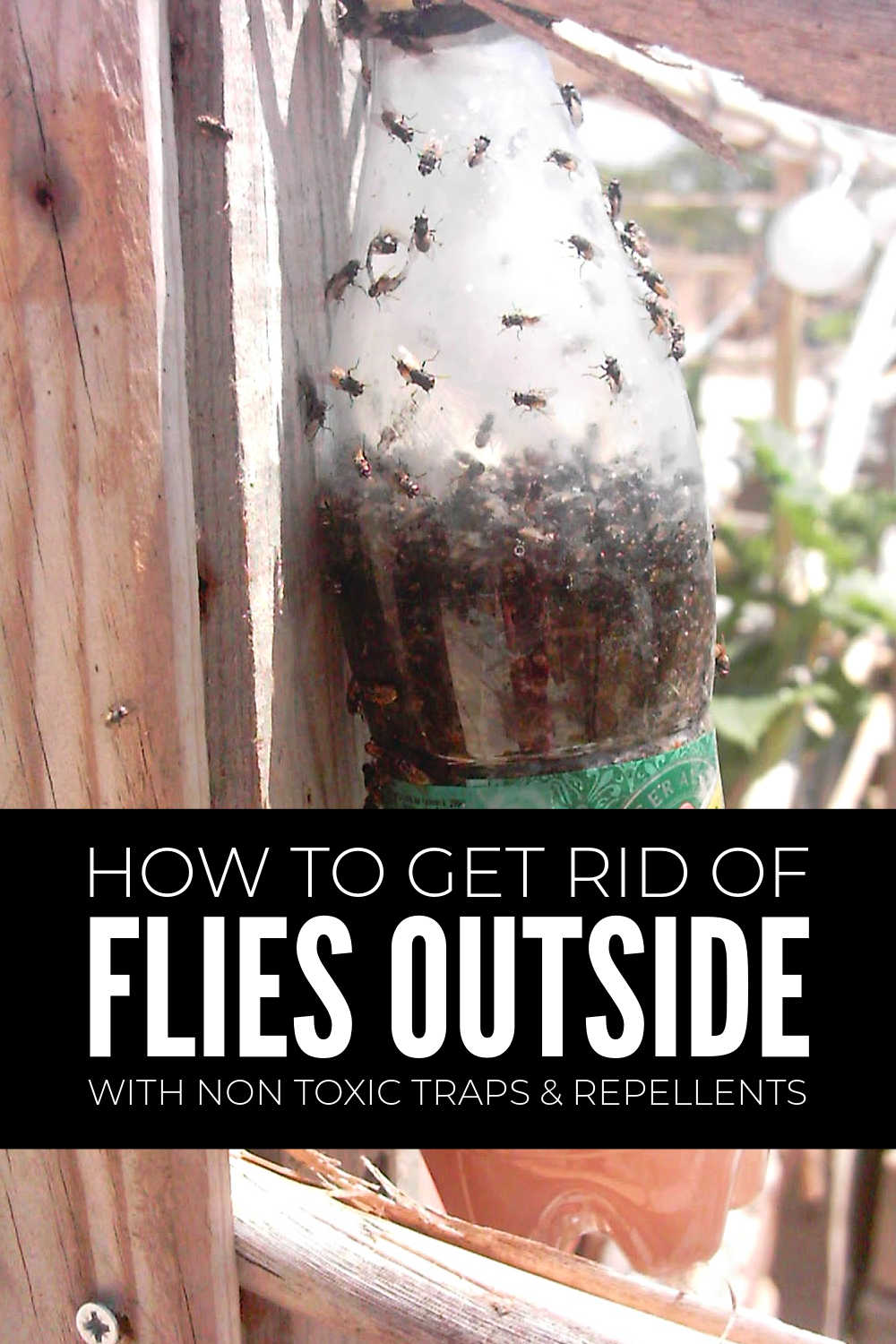 Get Rid of Flies