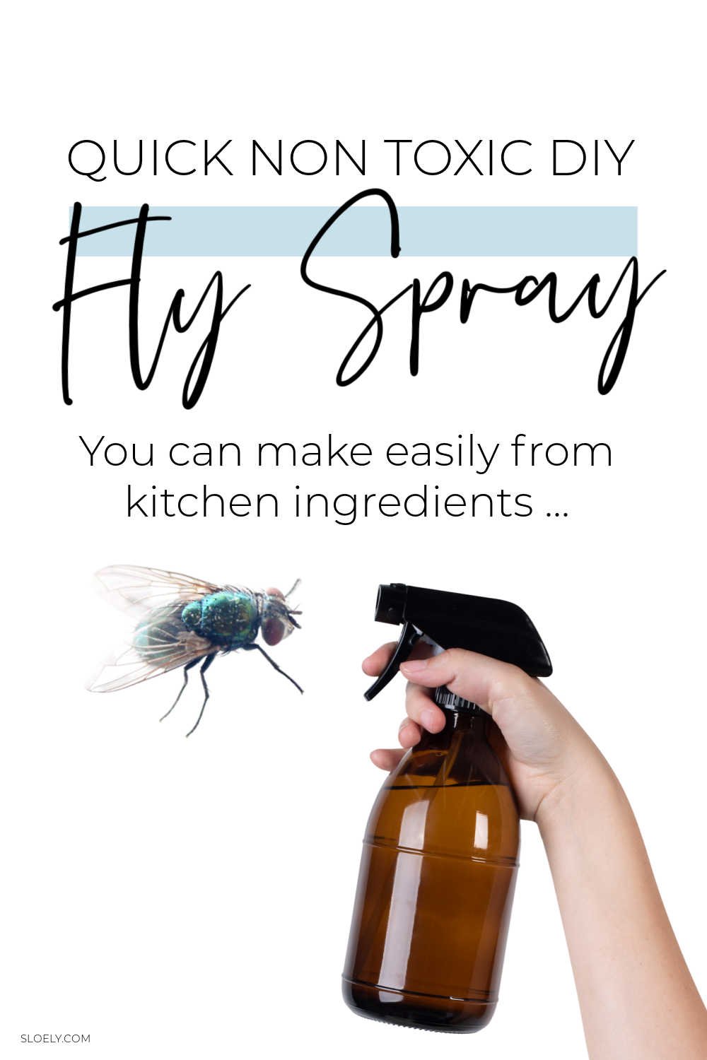 Get Rid of Flies