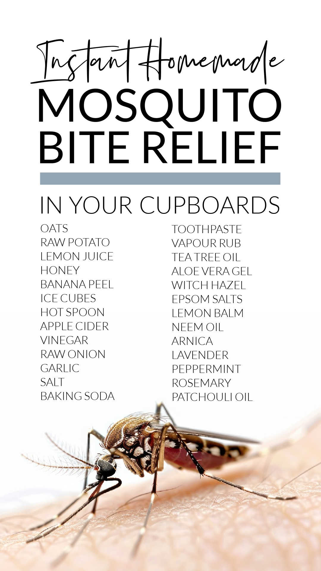 Mosquito Bite Remedies