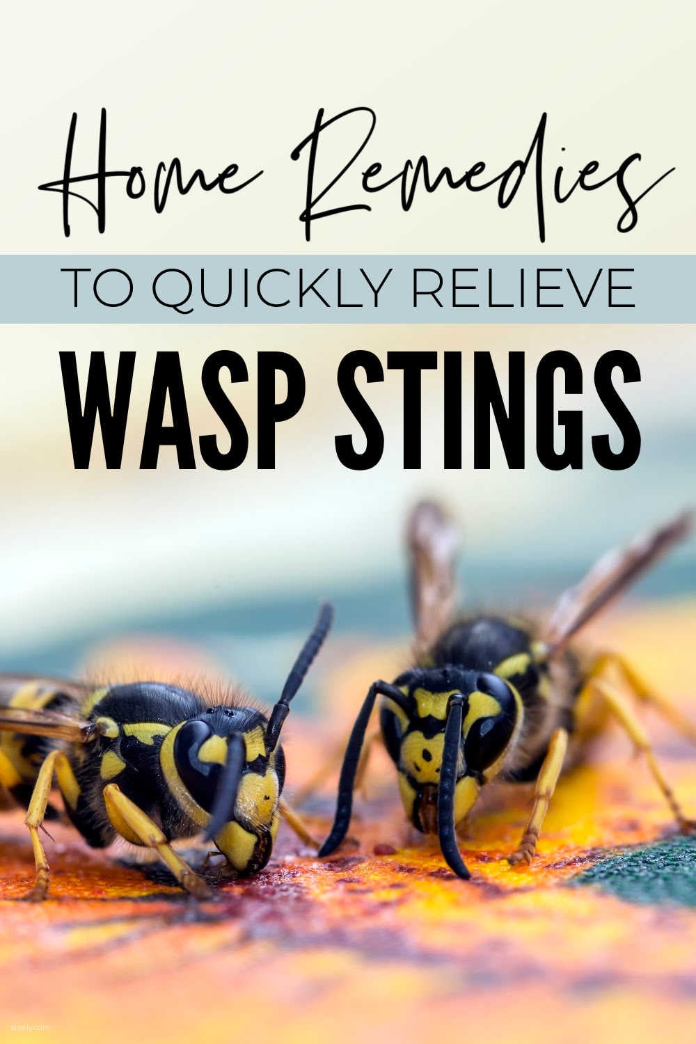 Home Remedies For Bites & Stings