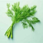 Natural Antihistamines For Allergy Relief