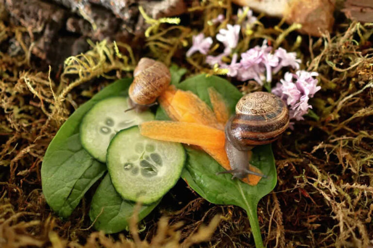 Outdoor Activities For Kids