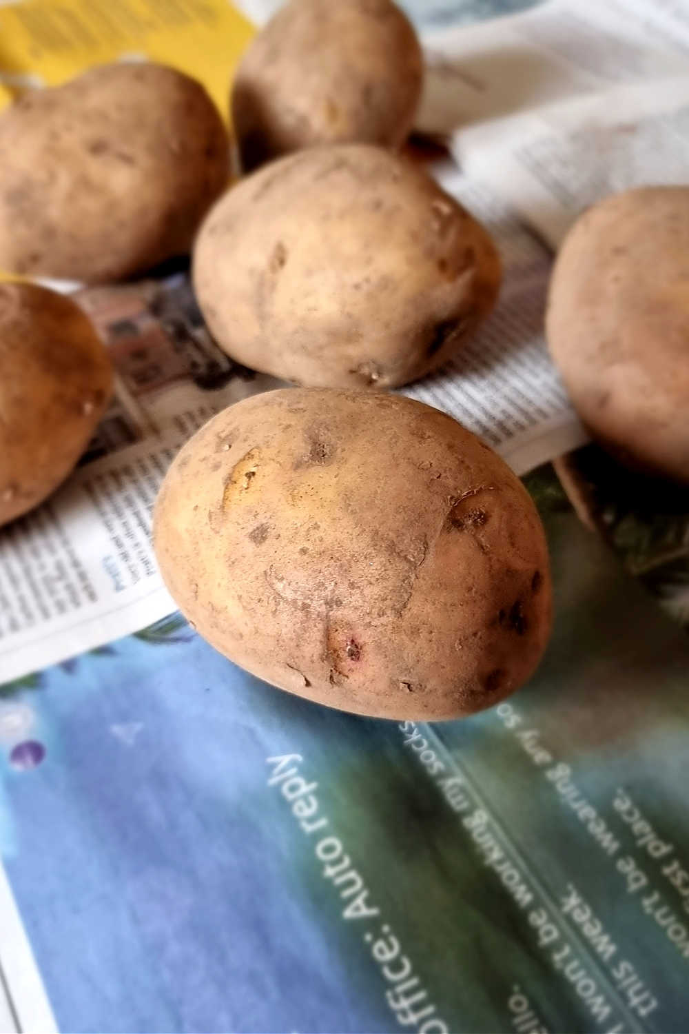 Best Ways To Store Potatoes