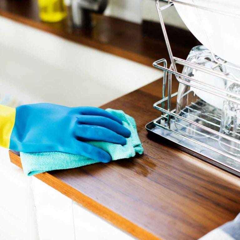 How To Get Rid Of Mice In The House
