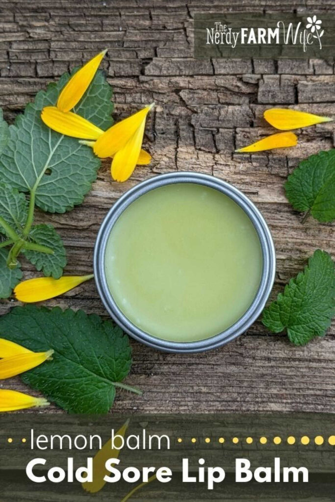 Natural Remedies For Cold Sores