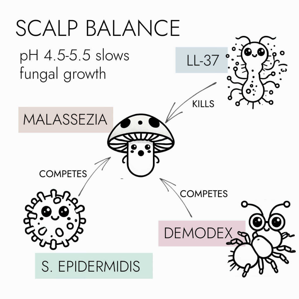 Cradle Cap Remedies