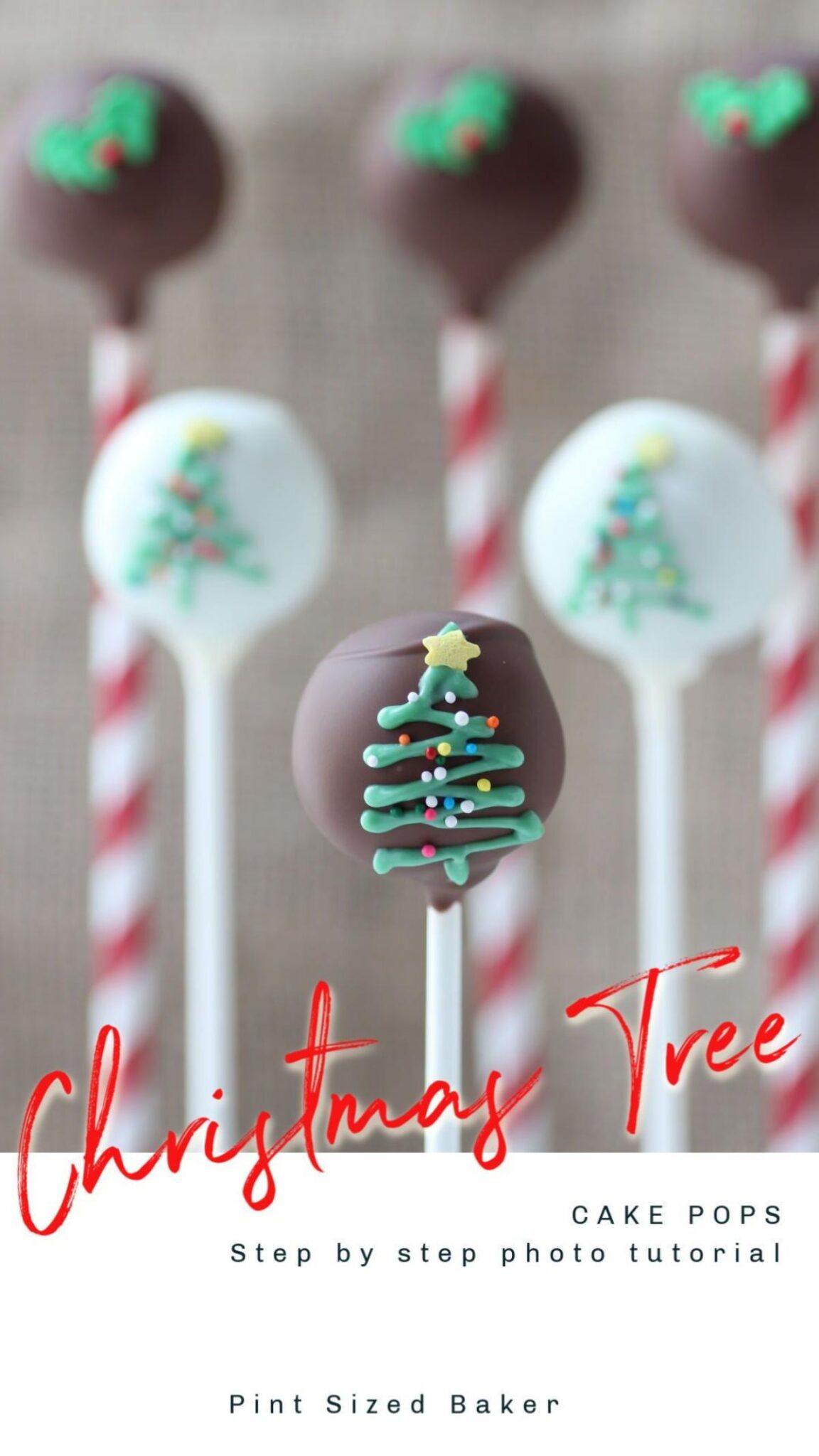 The Best Christmas Cake Pop Ideas